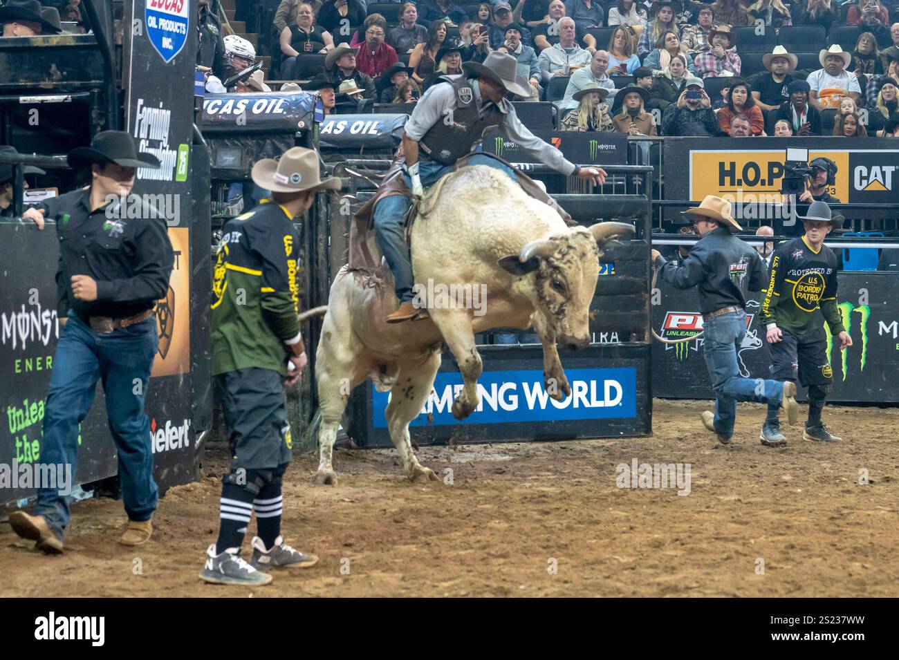 New York, New York, USA. 5th Jan, 2025. (new) 2025 professional bull ...