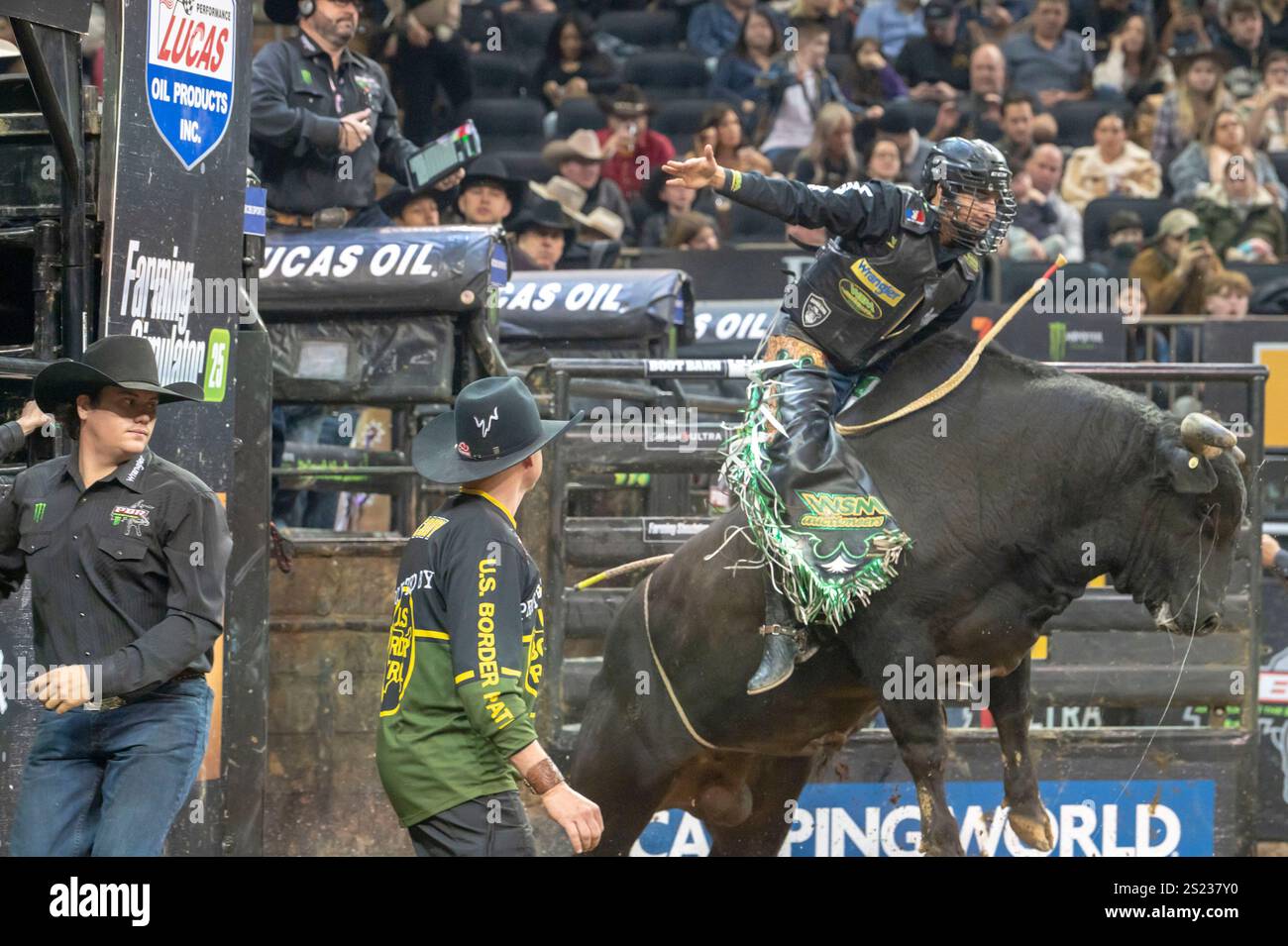 New York, New York, USA. 5th Jan, 2025. (new) 2025 professional bull ...