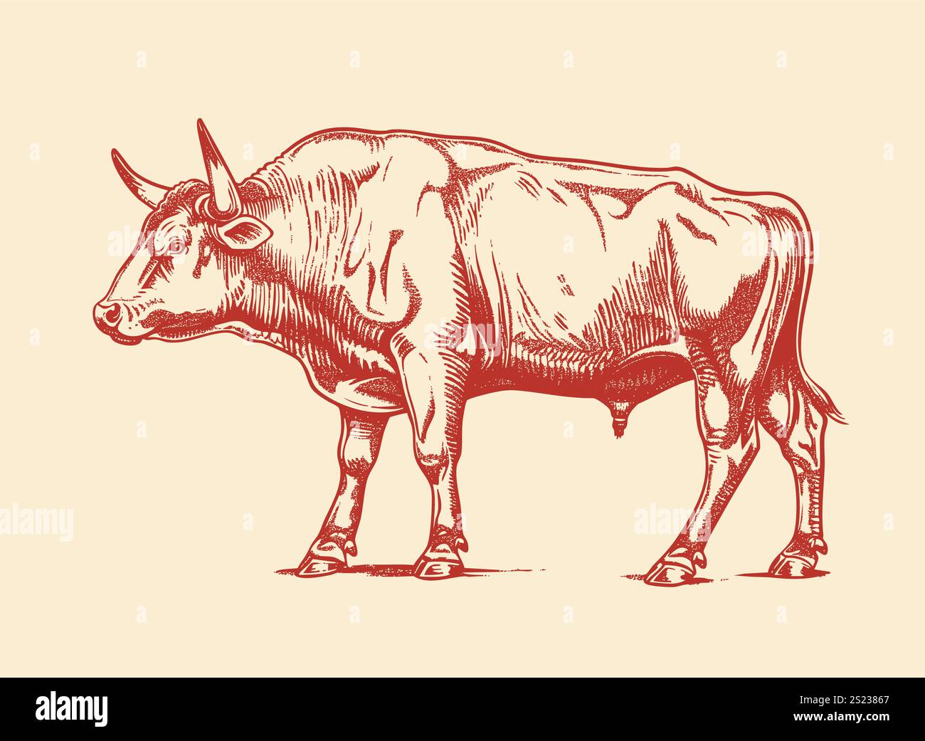 Cow, bull, beef meat, tag label. Template Meat Beef Tag Label. Vintage ...