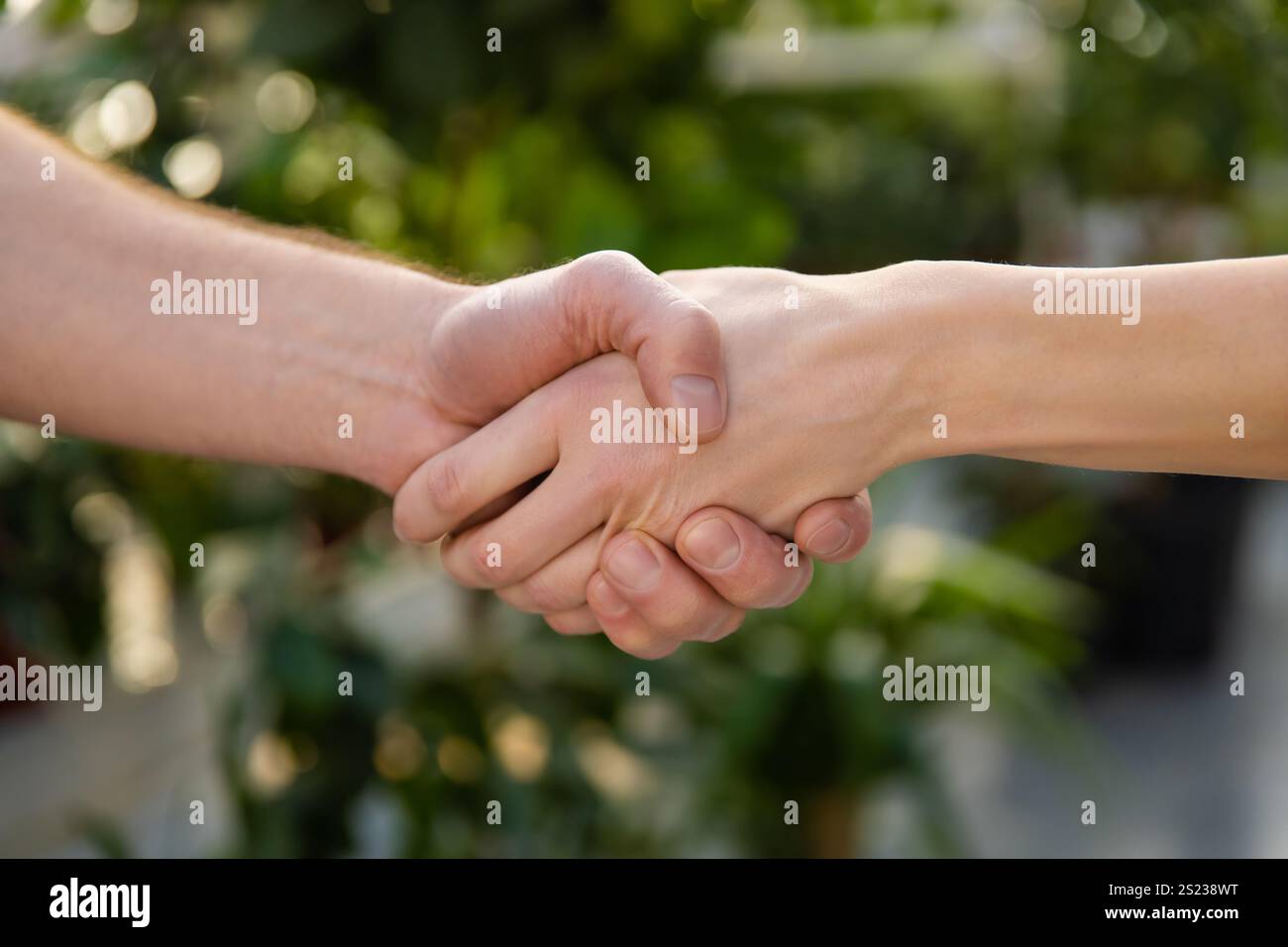 Close up picture of two hands in a handshake Stock Photo - Alamy