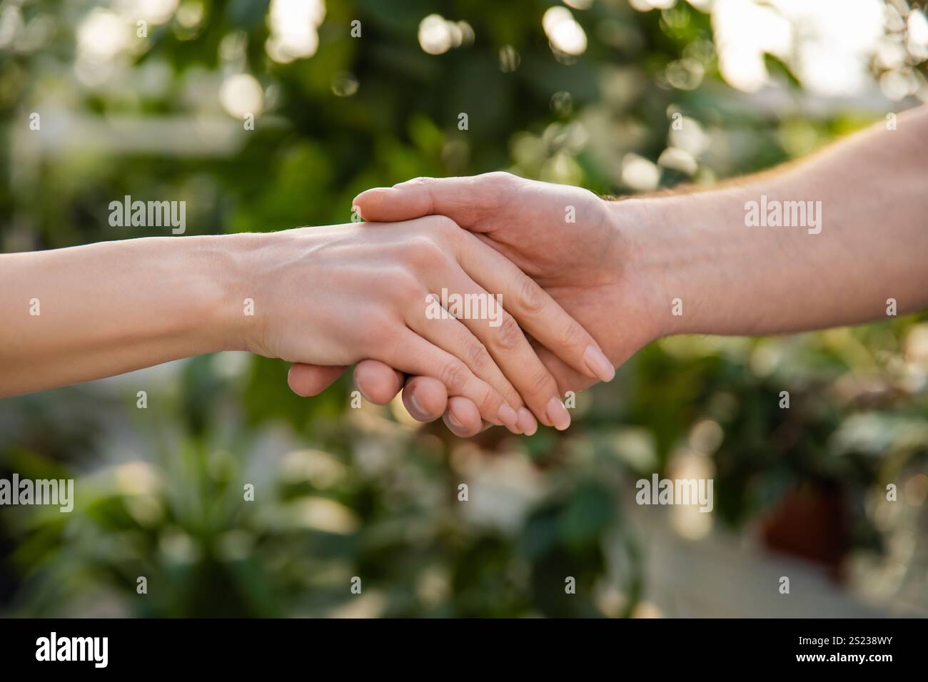 Close up picture of two hands in a handshake Stock Photo - Alamy