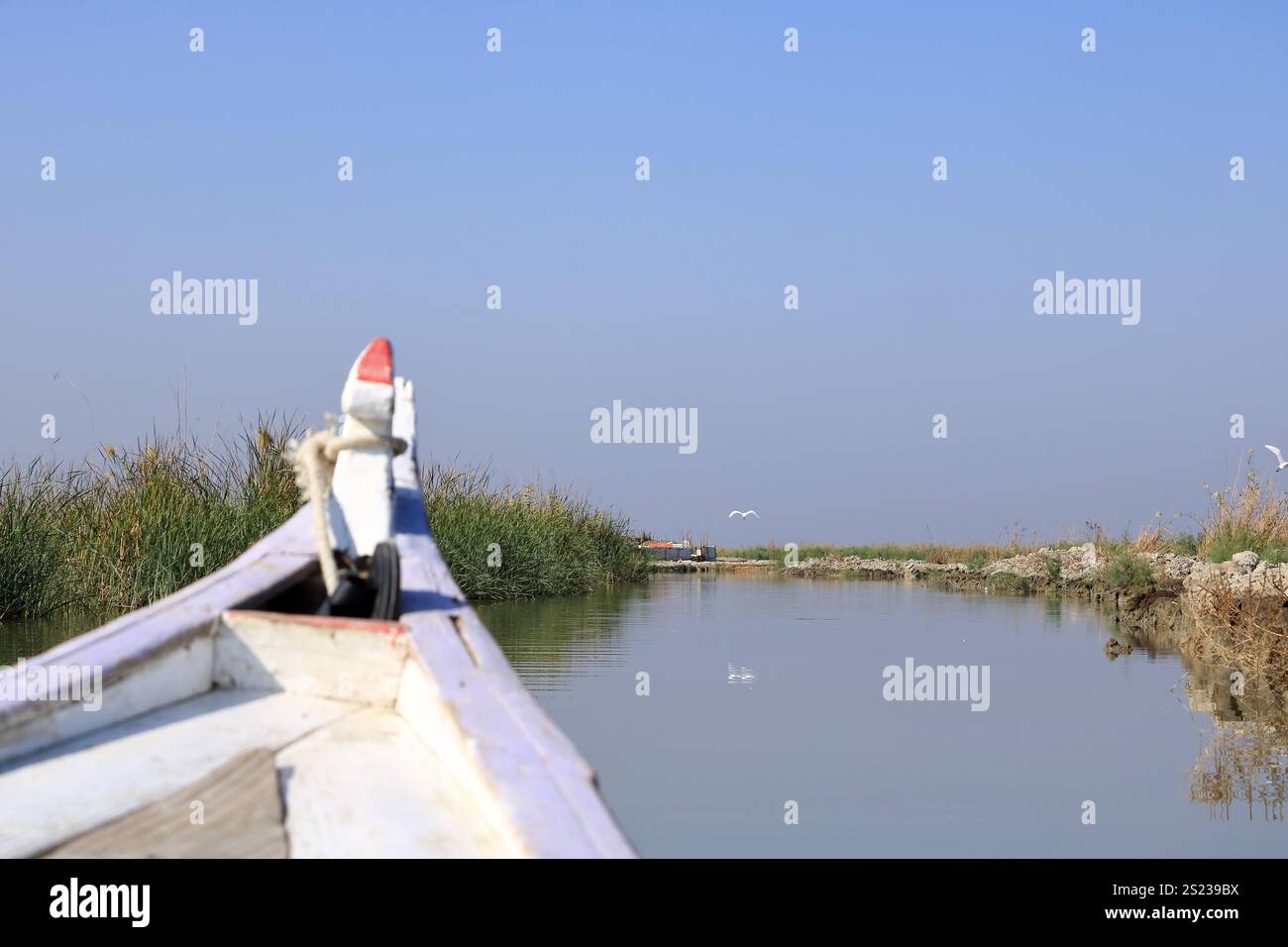 a boat trip in the marshlands of iraq near Chibayish, Chabaish ...