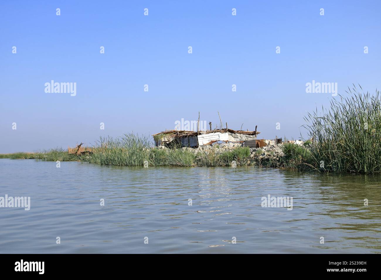 a boat trip in the marshlands of iraq near Chibayish, Chabaish ...