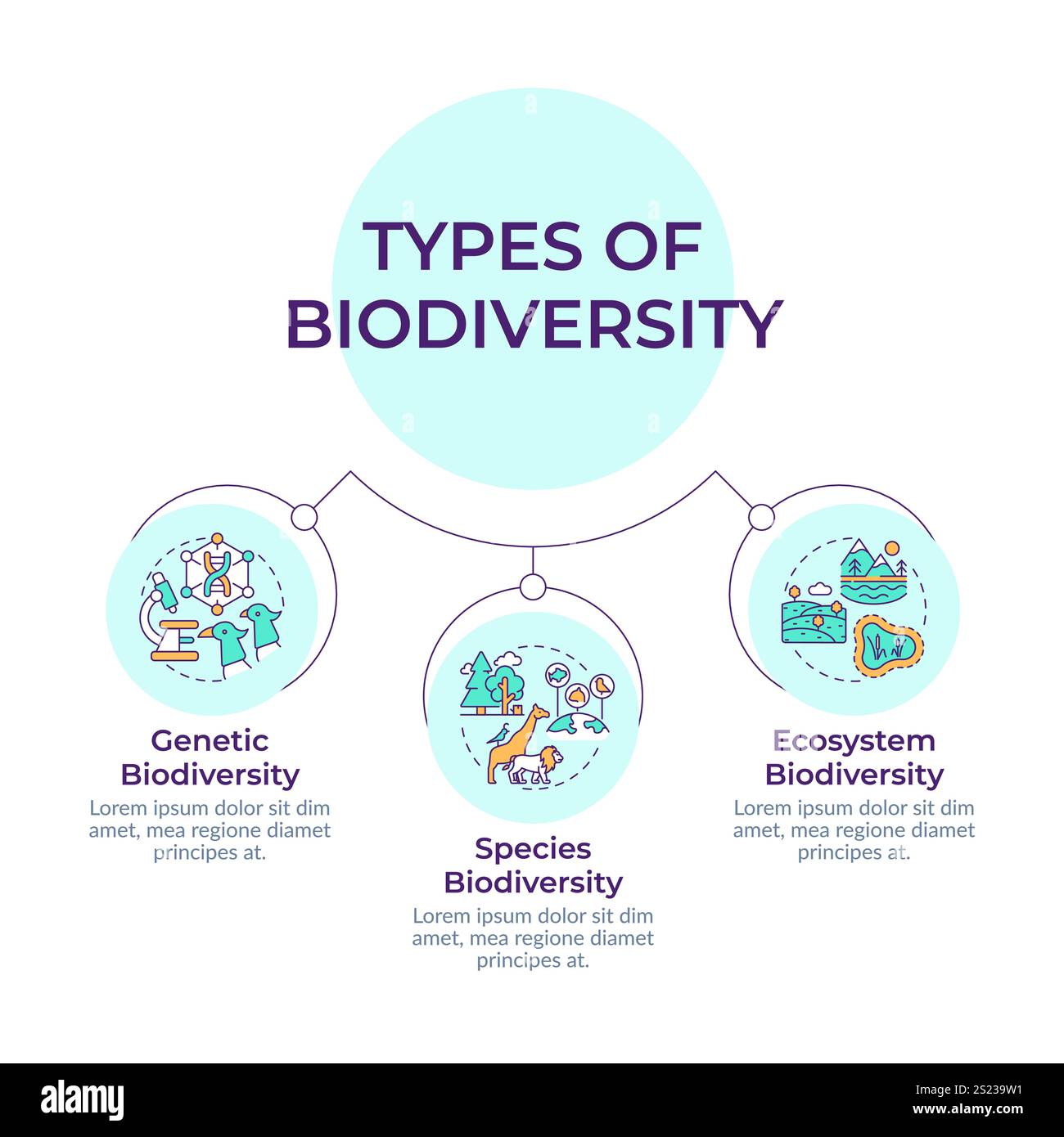 Types of biodiversity circular diagram infographic Stock Vector Image ...