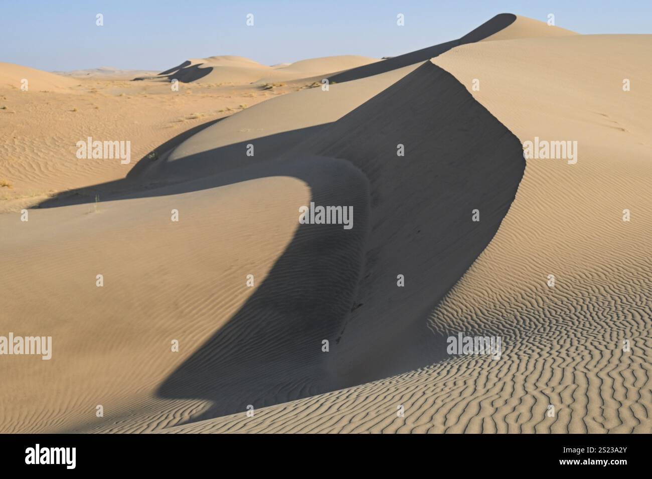 Bisha, Arabie Saoudite. 06th Jan, 2025. Landscape during the Stage 2 of ...