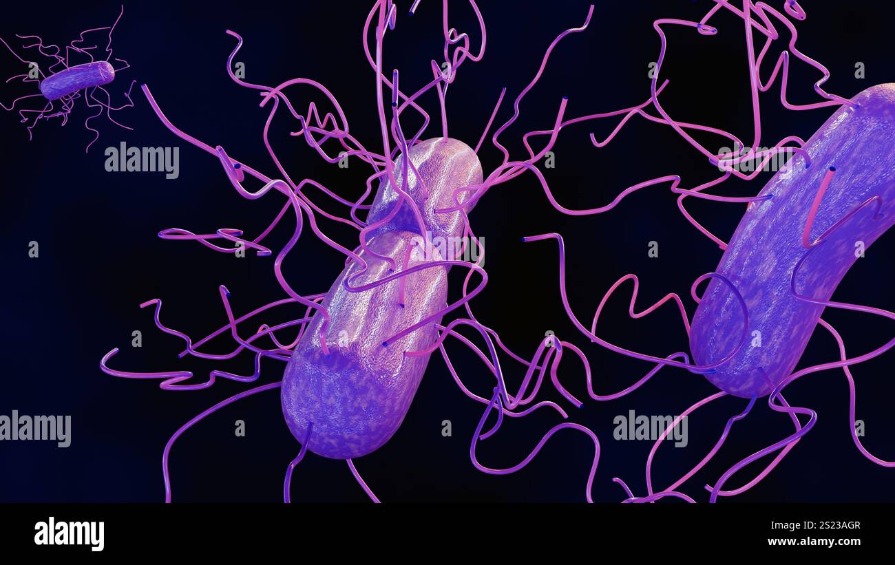 3d rendering of Bacillus subtilis bacterium with peritrichous flagella Stock Photo - Alamy