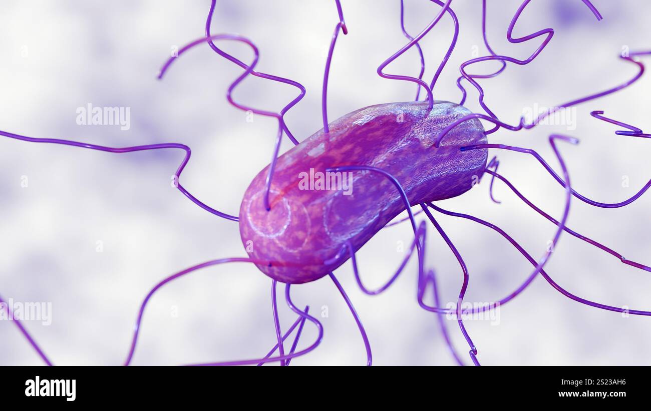 3d rendering of Bacillus subtilis bacterium with peritrichous flagella ...
