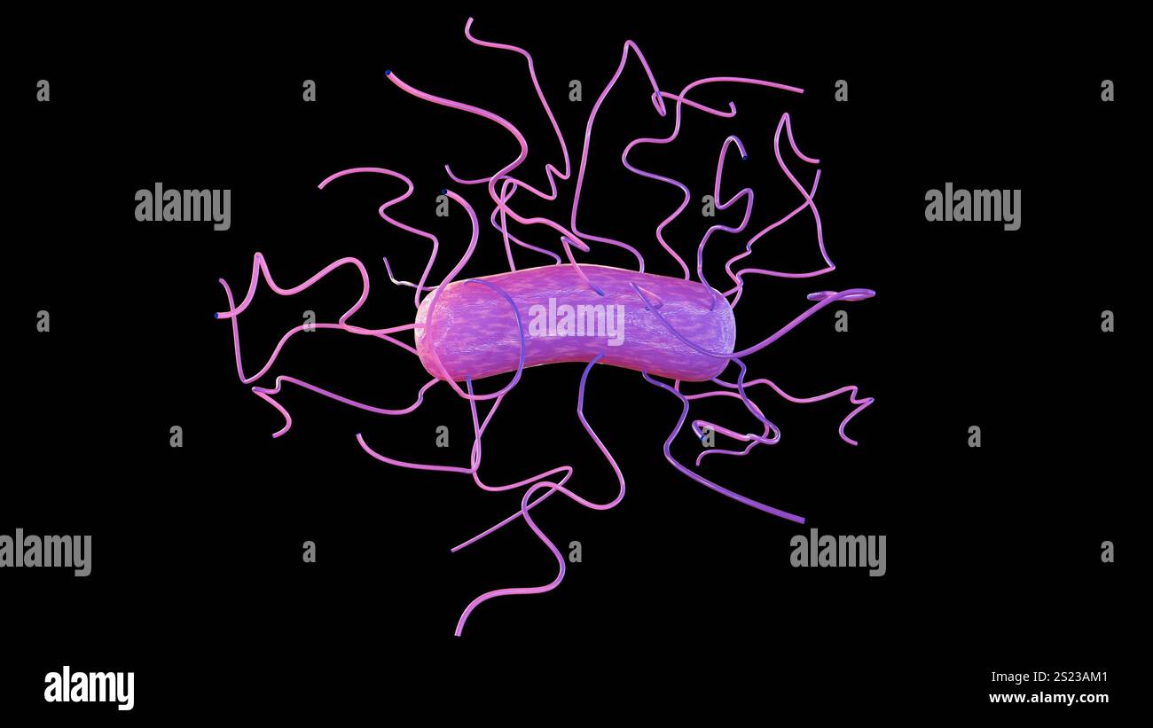 3d rendering of Bacillus subtilis bacterium with peritrichous flagella ...