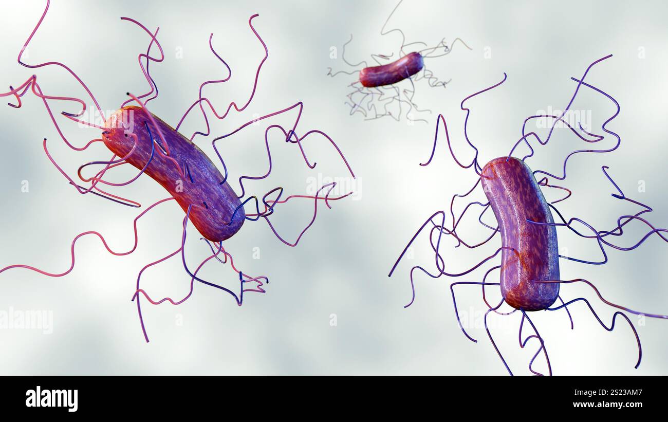 3d rendering of Bacillus subtilis bacterium with peritrichous flagella ...