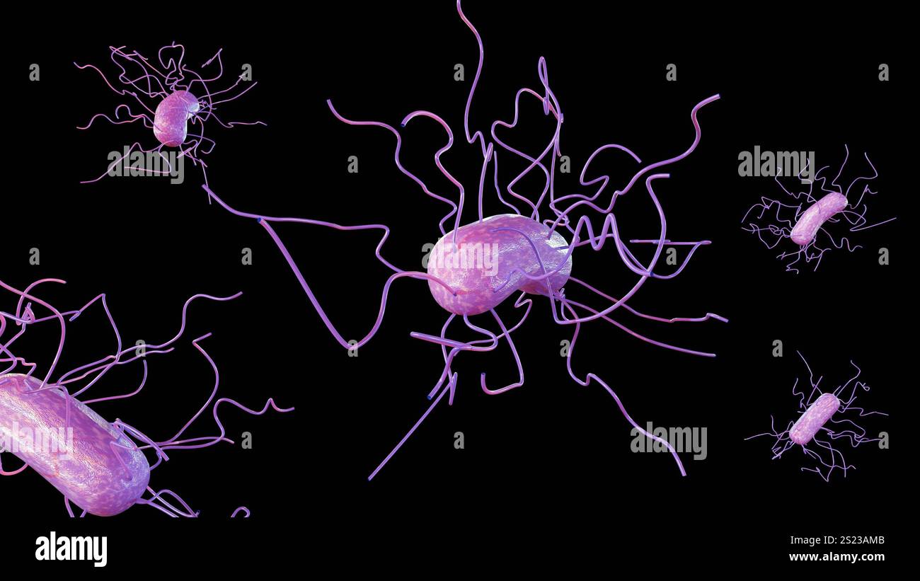 3d rendering of Bacillus subtilis bacterium with peritrichous flagella Stock Photo - Alamy