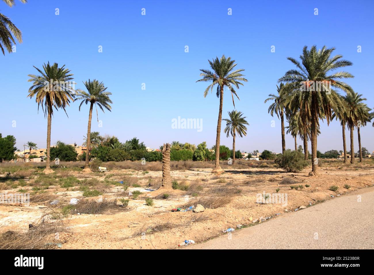 Ctesiphon near Baghdad, Bagdad in Iraq, area in opposite of the ...