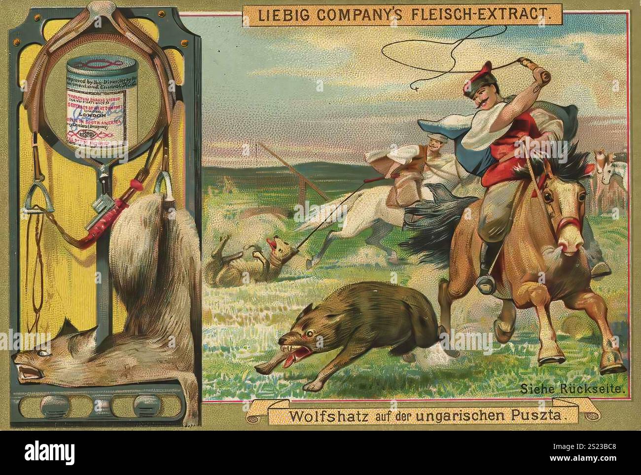 Wolf jagd geschichte hi-res stock photography and images - Alamy