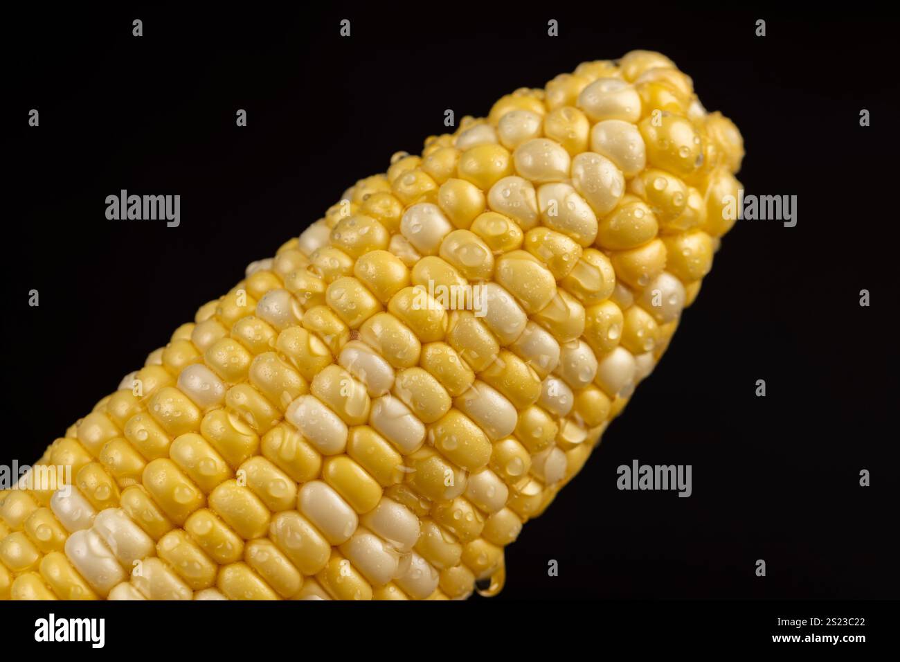 wet peeled corn cob with yellow and white seeds of different sizes and ...