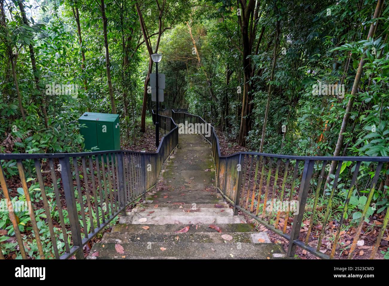 Steps stairway descending into Mount Faber Park Singapore, lush ...