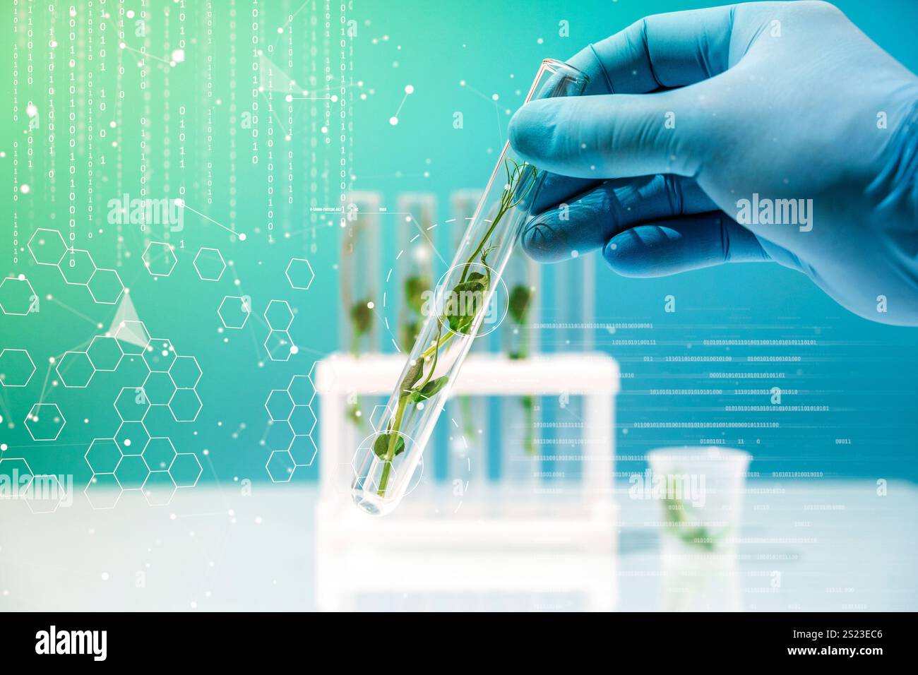 Plant in test tube bio laboratory. Biology, science, biotechnology ...