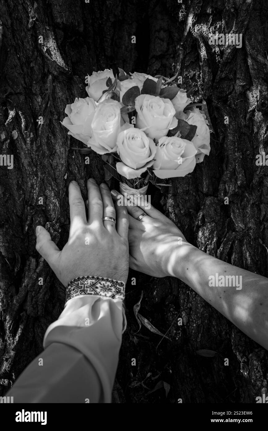 Tree bark rings Black and White Stock Photos & Images - Alamy