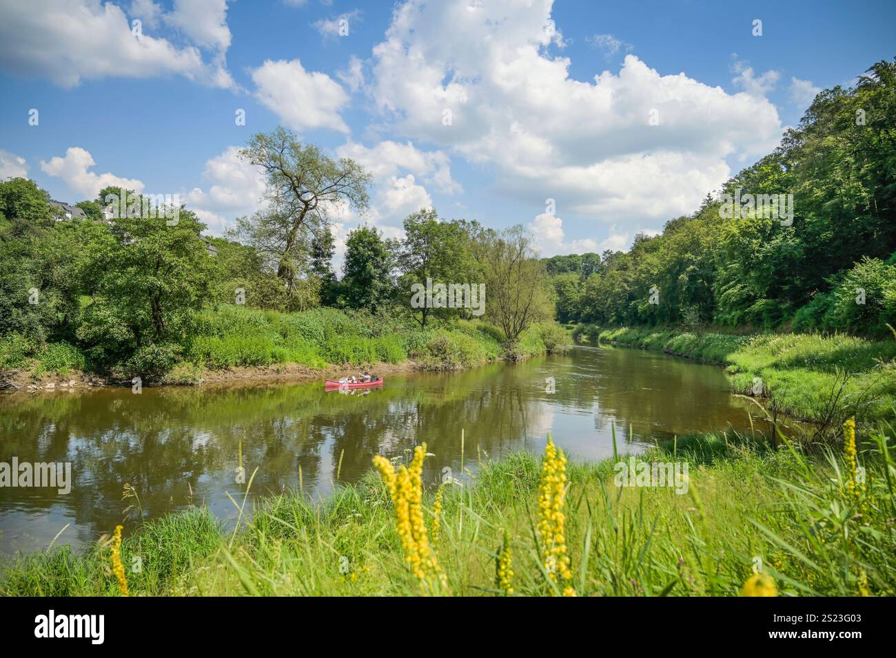 Fluß der Lahn, Lahntal bei Aumenau, Landkreis Limburg-Weilburg, Hessen ...