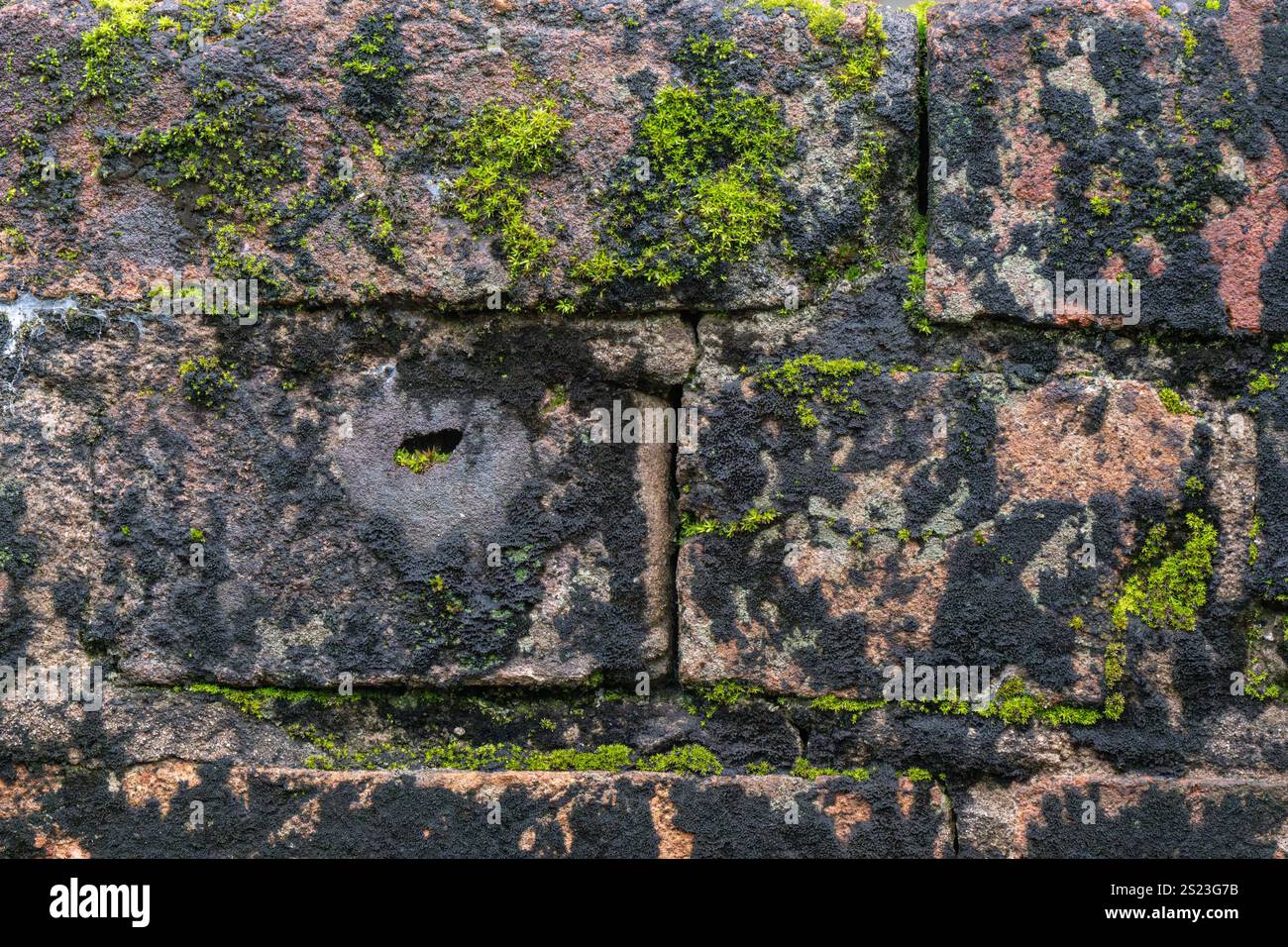 mossy old dark brick wall backgrounds texture wallpaper, abstract ...