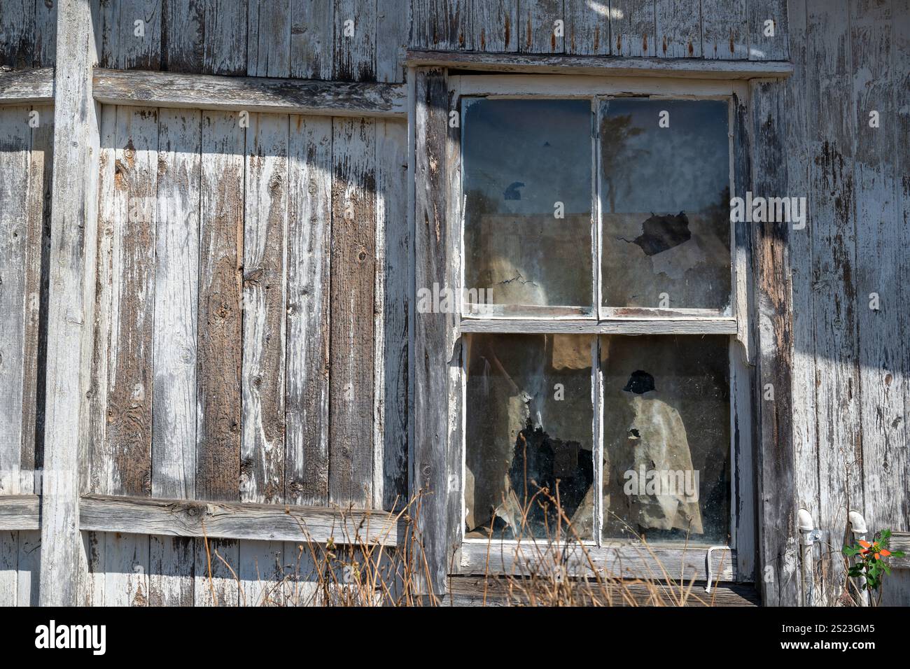 Old abandoned timber house and window, faded peeling paint, derelict ...