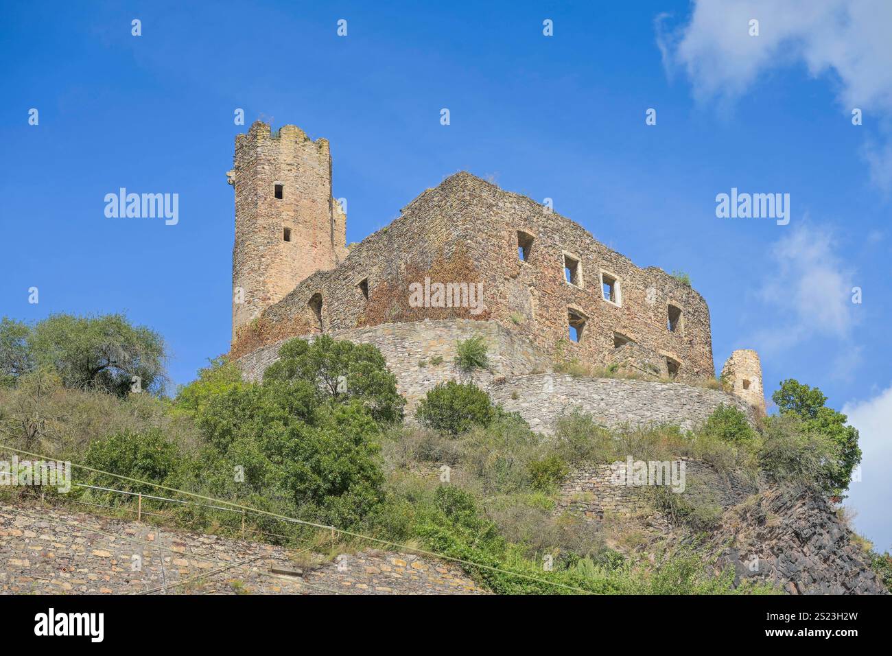 Burgruine Ehrenfels, Rüdesheim am Rhein, Hessen, Deutschland ...