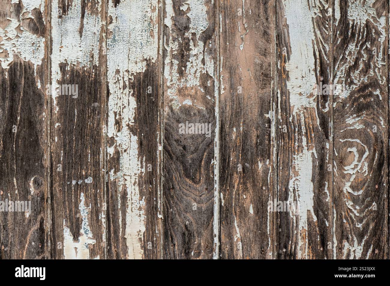 timber wooden panel background, vintage old white paint, peeling aged ...