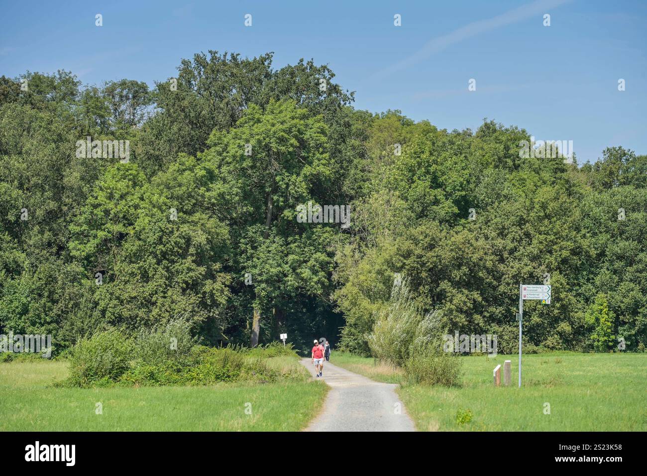 Waldwiese Schwanheimer Wiesen, Frankfurt am Main, Hessen, Deutschland ...