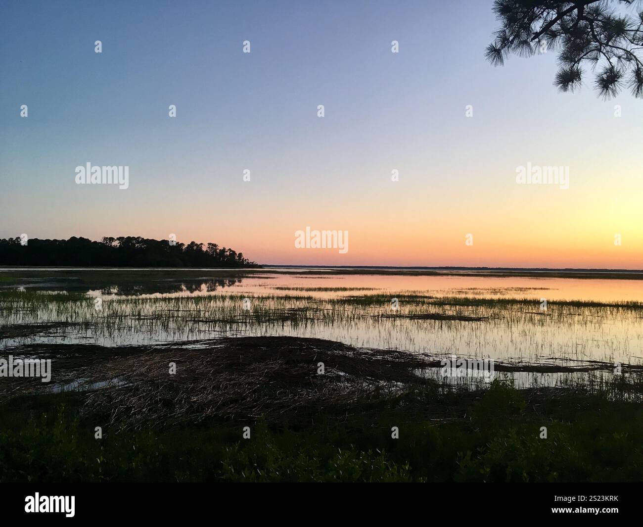 Sunrise over lake mangrove trees hi-res stock photography and images - Alamy