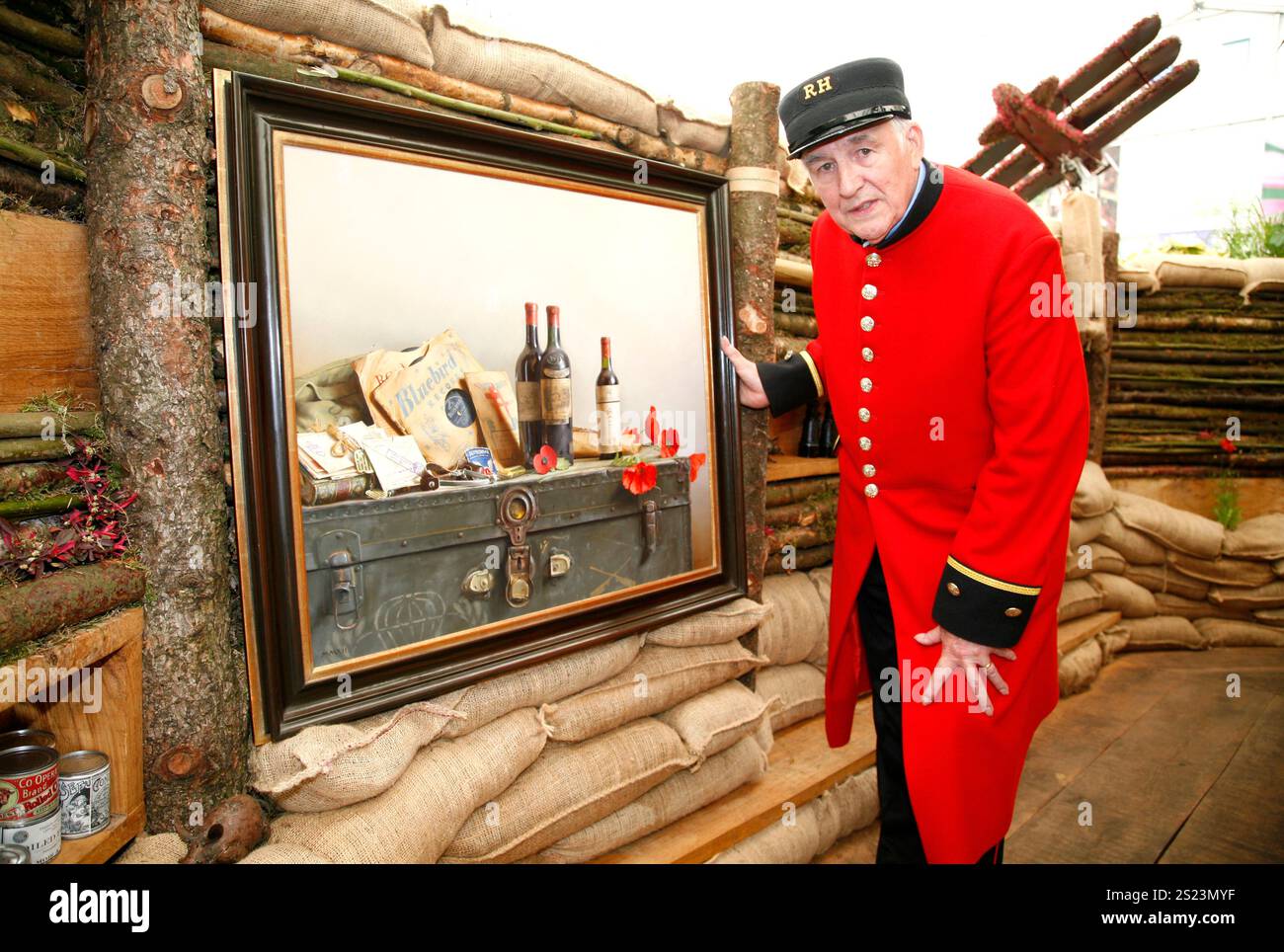 Chelsea pensioner Ray Pearson looking at a painting 'In Flanders Field ...
