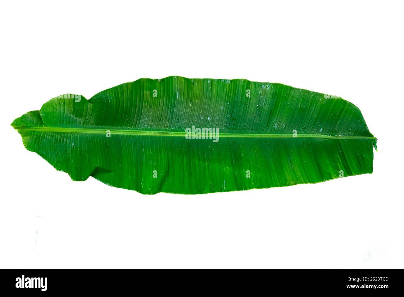 Natural texture background pattern Cut Out Stock Images & Pictures - Alamy