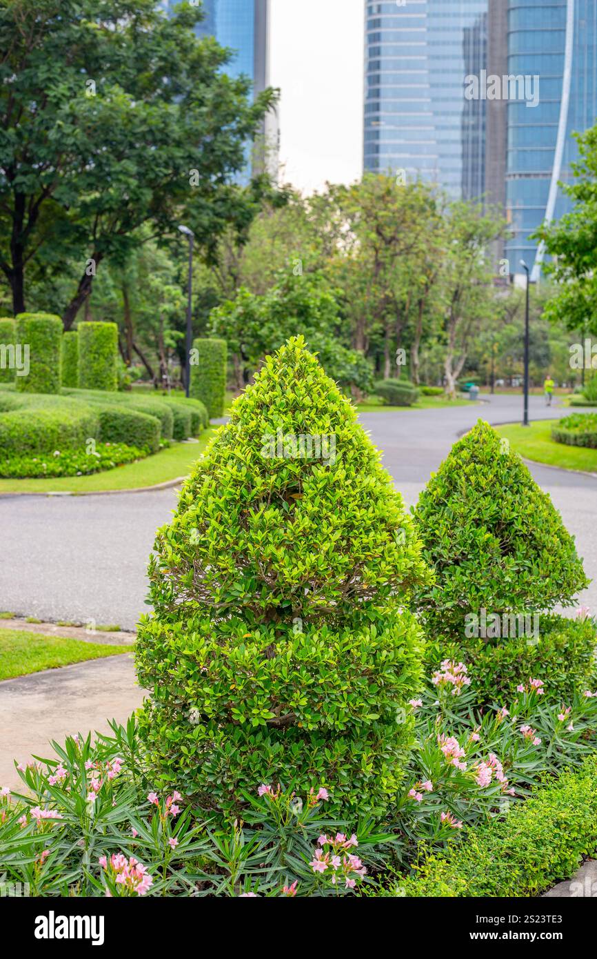 Landscape design of the city park. Composition of various plants and ...