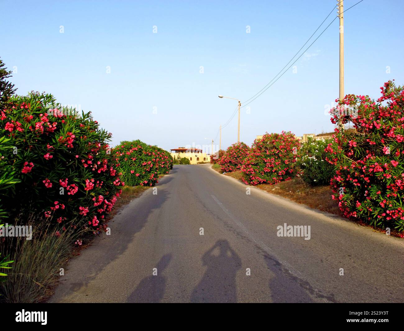 The road in Sliema, Malta Stock Photo - Alamy