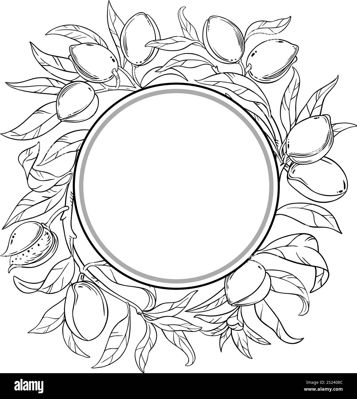 Almond branch with nuts Stock Vector Images - Alamy