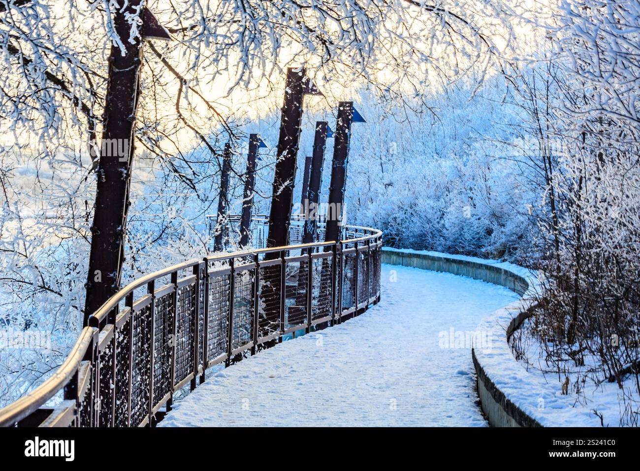 A snowy path with a bridge and a railing. The railing is covered in ...