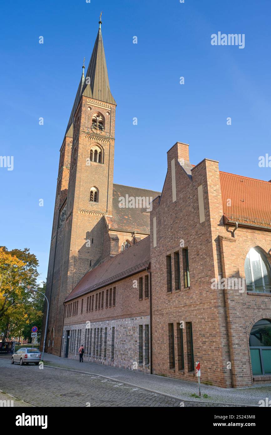 Dom St. Nikolaus, Stendal, Sachsen-Anhalt, Deutschland *** St. Nicholas ...