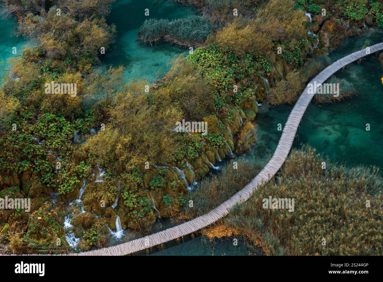 Aerial top down view of a wooden walkway in Plitvice Lakes National ...