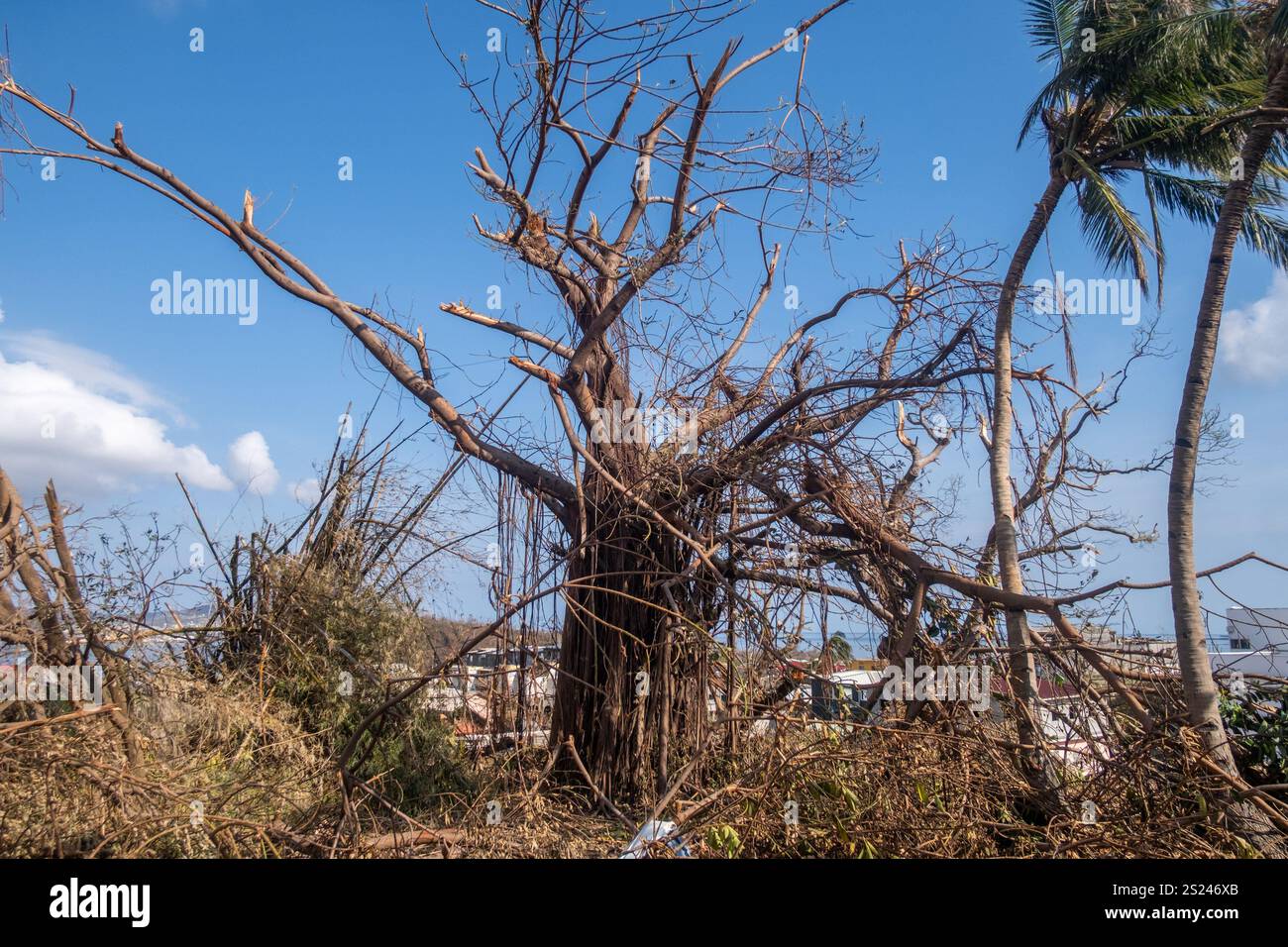 Michael Bunel/Le Pictorium - MAYOTTE, cyclone Chido - 21/12/2024 ...