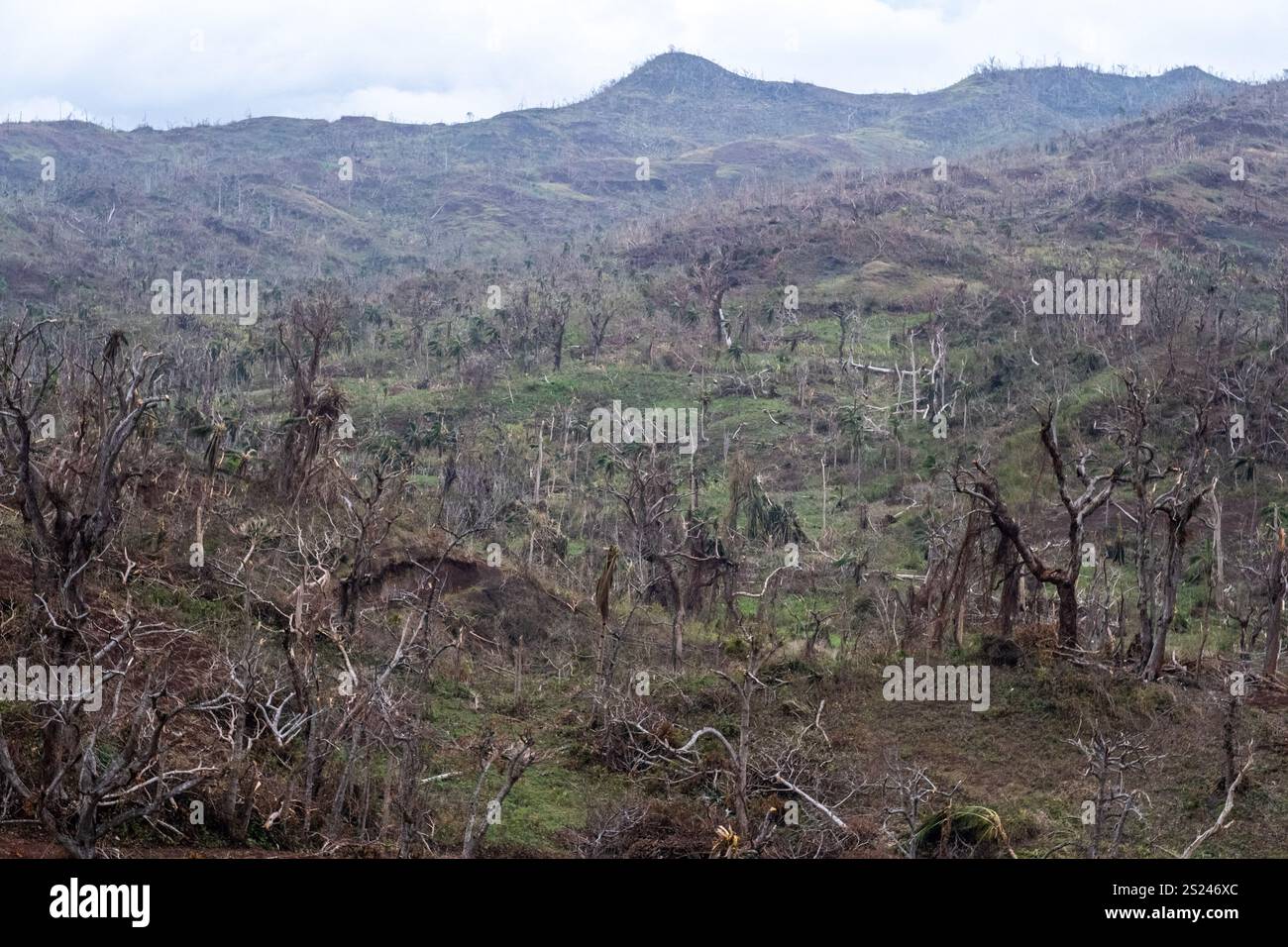 Michael Bunel/Le Pictorium - MAYOTTE, cyclone Chido - 23/12/2024 ...