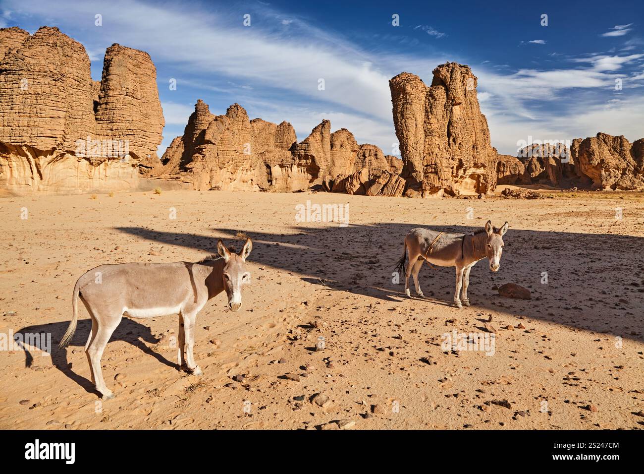 Rocks of Sahara Desert, Tassili N'Ajjer, Algeria Stock Photo - Alamy
