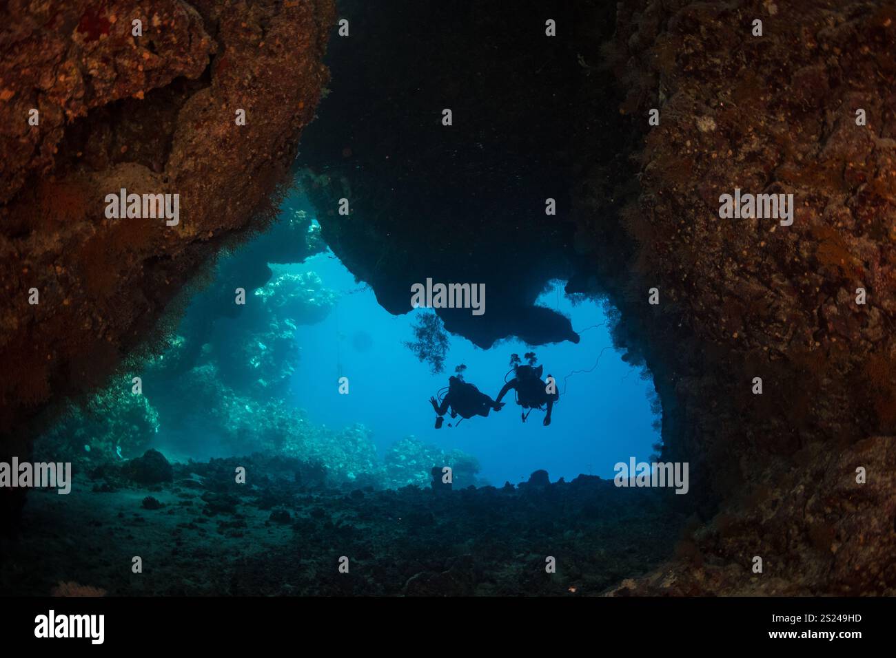 Divers on the St John's Caves divesite, Red Sea, Egypt Stock Photo - Alamy