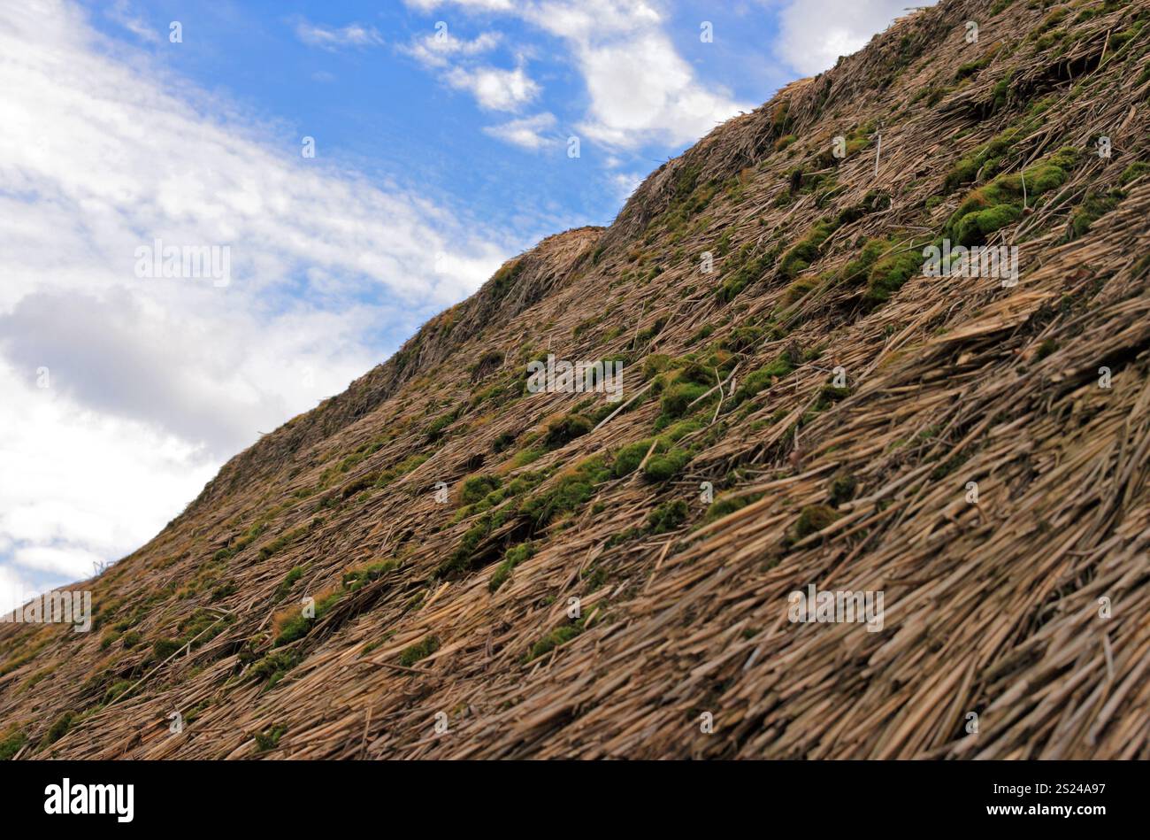 old moss-grown thatch roof on sky background Stock Photo - Alamy
