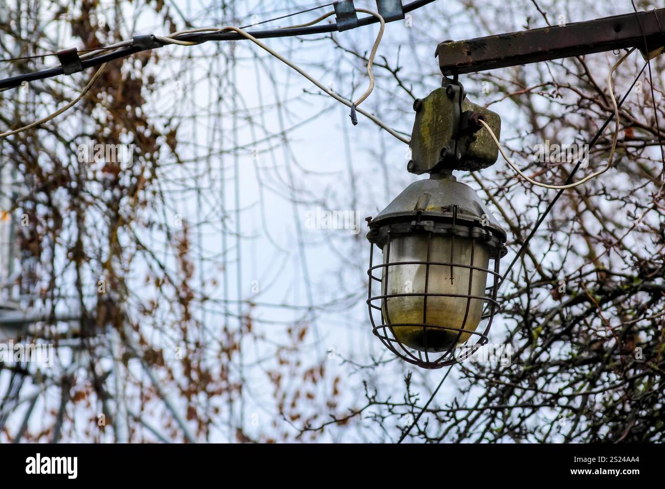 A vintage street lamp is suspended from overhead wires, surrounded by ...