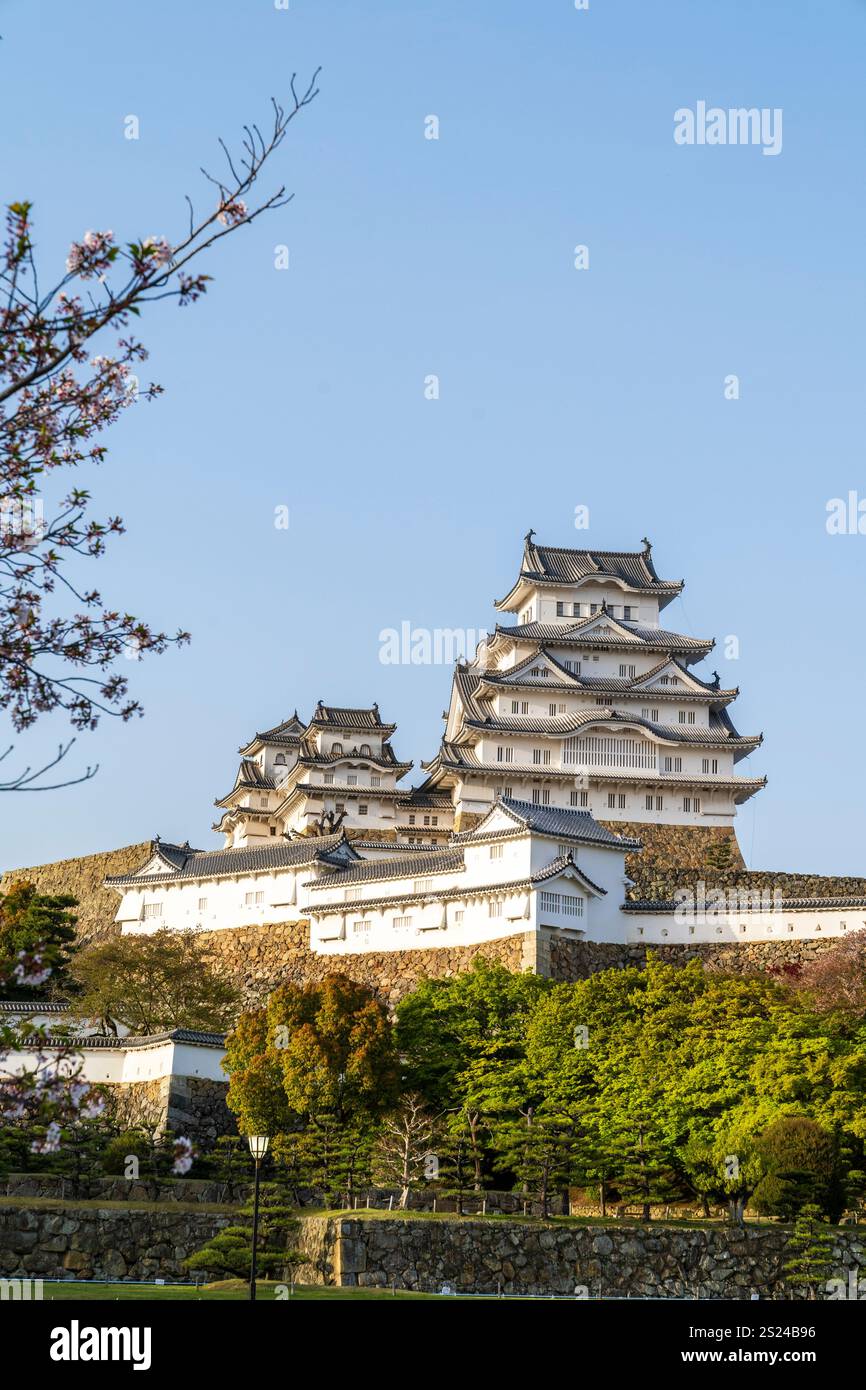 The classic view of Himeji castle in bright sunshine with a clear blue ...
