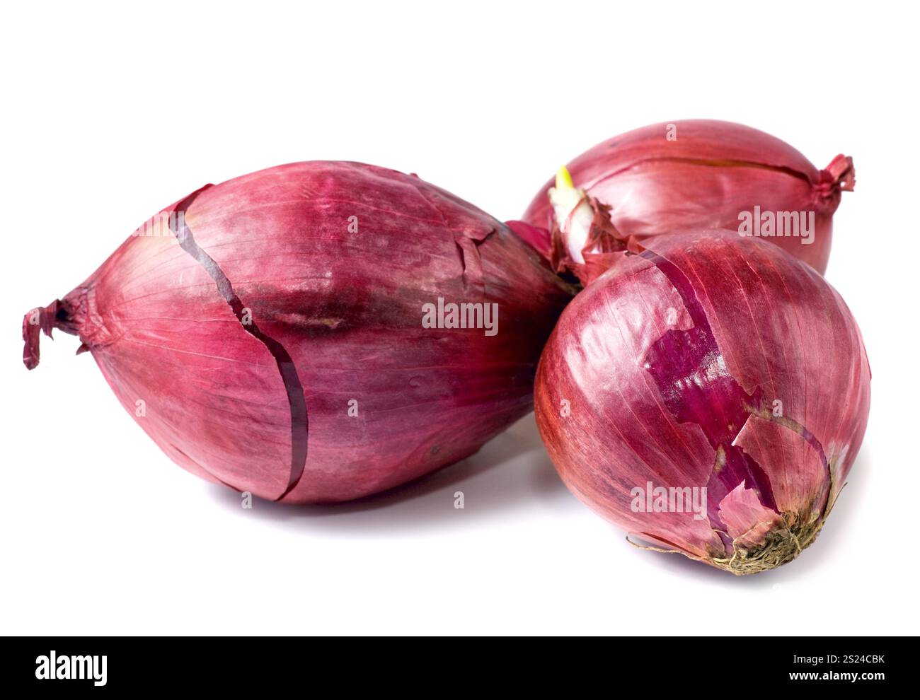 vitamin violet onion bulb group isolated on white background Stock ...