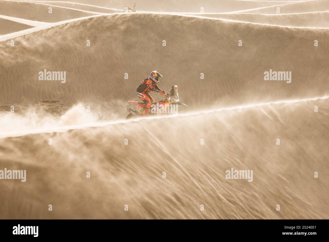 47 BENAVIDES Kevin (arg), KTM, Red Bull KTM Factory Racing, RallyGP ...