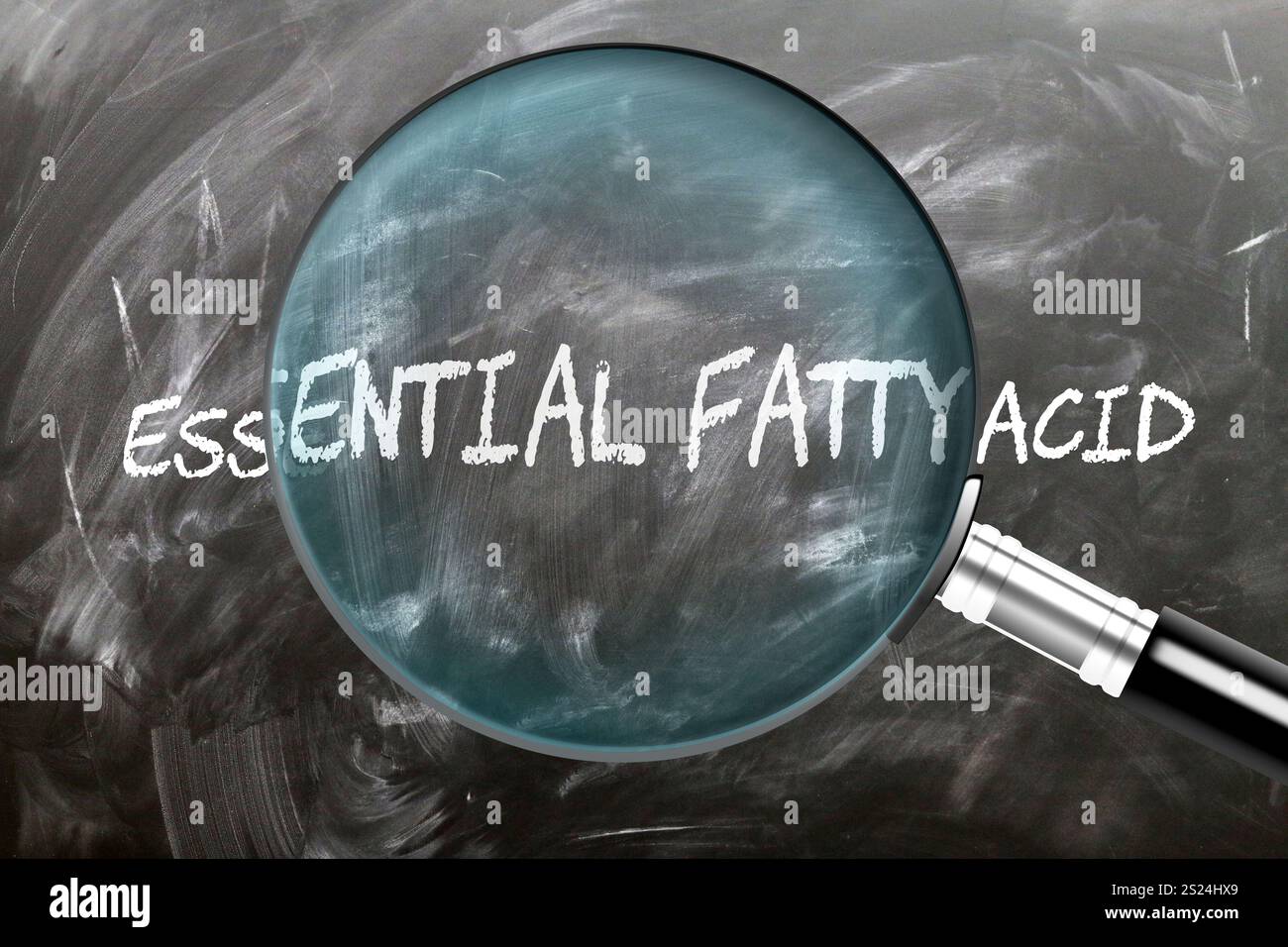 Essential Fatty Acid - learn, study and inspect it. Taking a closer ...