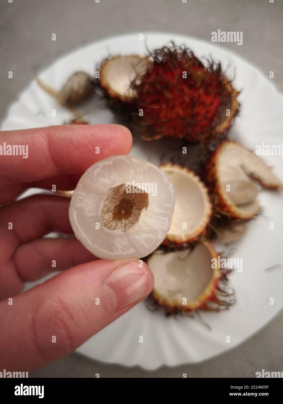 Fingers holding a cross section of rambutan, revealing its translucent ...