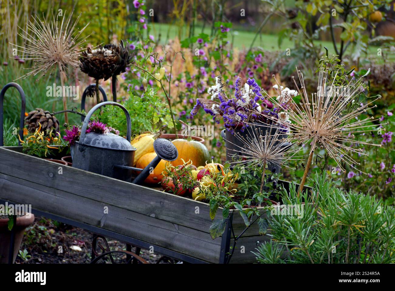 An Autumnal Wheelbarrow Display at RHS Garden Harlow Carr, Harrogate ...