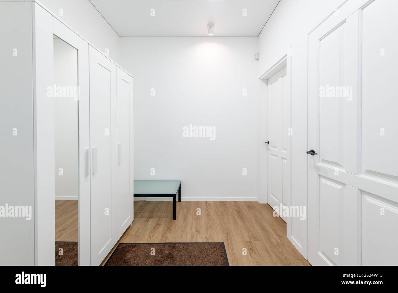 Bright and simplistic interior showcasing white walls, wooden flooring ...