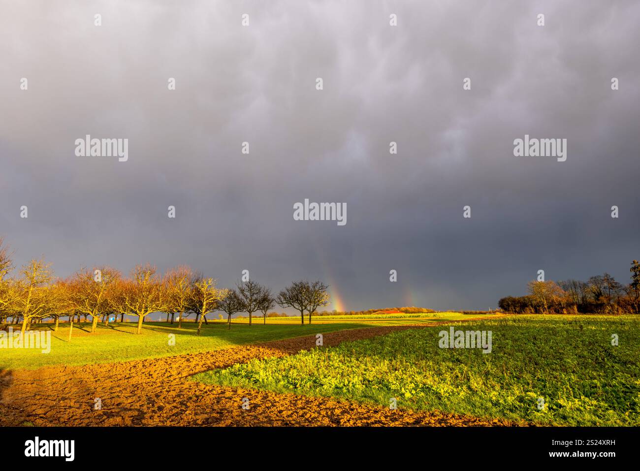 Elegantes Wetter Oberursel 30 Tage Bilder
