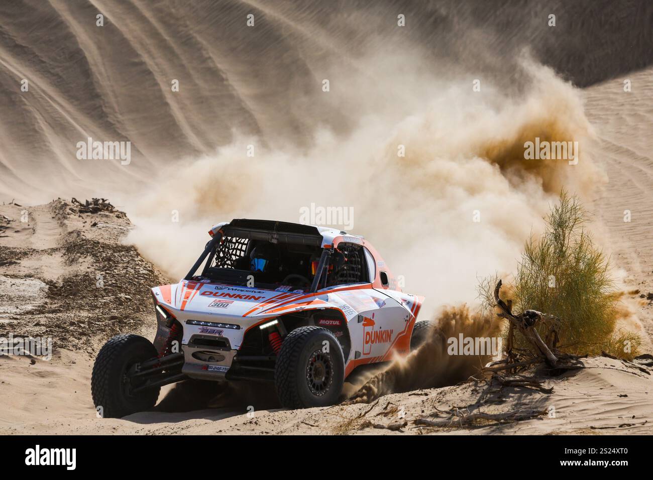 300 SEAIDAN Yasir (sau), METGE Michael (fra), Taurus, Team BBR, FIA W2RC, Challenger T3, action ...